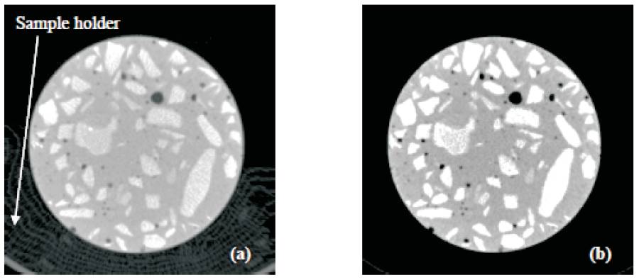 Figure 2. QCT image of one of the slices (a) raw image showing the ...