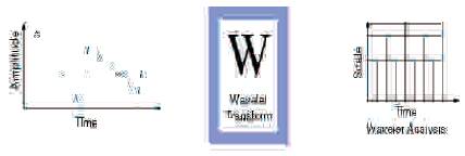 Figure 1. Wavelet Transform