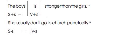 The Grammatical Nature of S+s