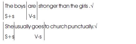 The Grammatical Nature of S+s