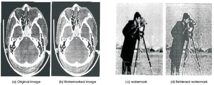 Figure 10(a). Discrete Cosine Transform (DCT) output