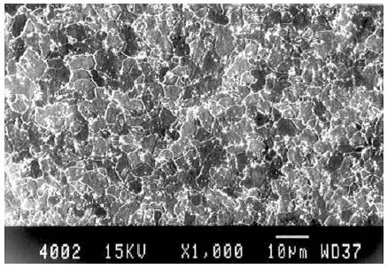 Figure 3. SEM of Steel (A1)