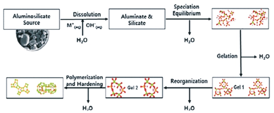 Figure 3. Stages of Geopolymerization Process ( Nergis, 2018 )