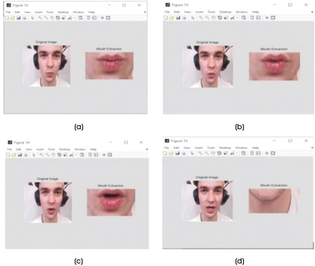 Figure 4. Result of Viola- Jones Algorithm (a), (b), (c) True ...